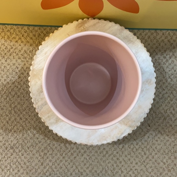 Rae Dunn | Kitchen | Rae Dunn Hop Into Spring Canister | Poshmark